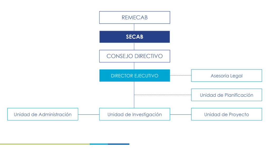 Estructura Institucional | Instituto Internacional de Integración